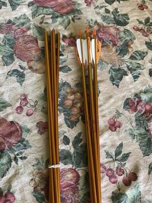 Dozen 12 Easton Genesis 1820 Arrows NASP | eBay