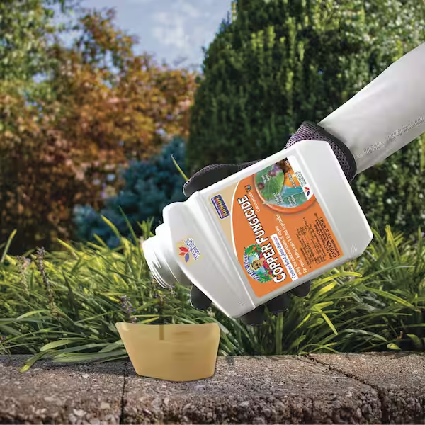 Bonide Captain Jack's Copper Fungicide, 16 oz Concentrated Plant ...