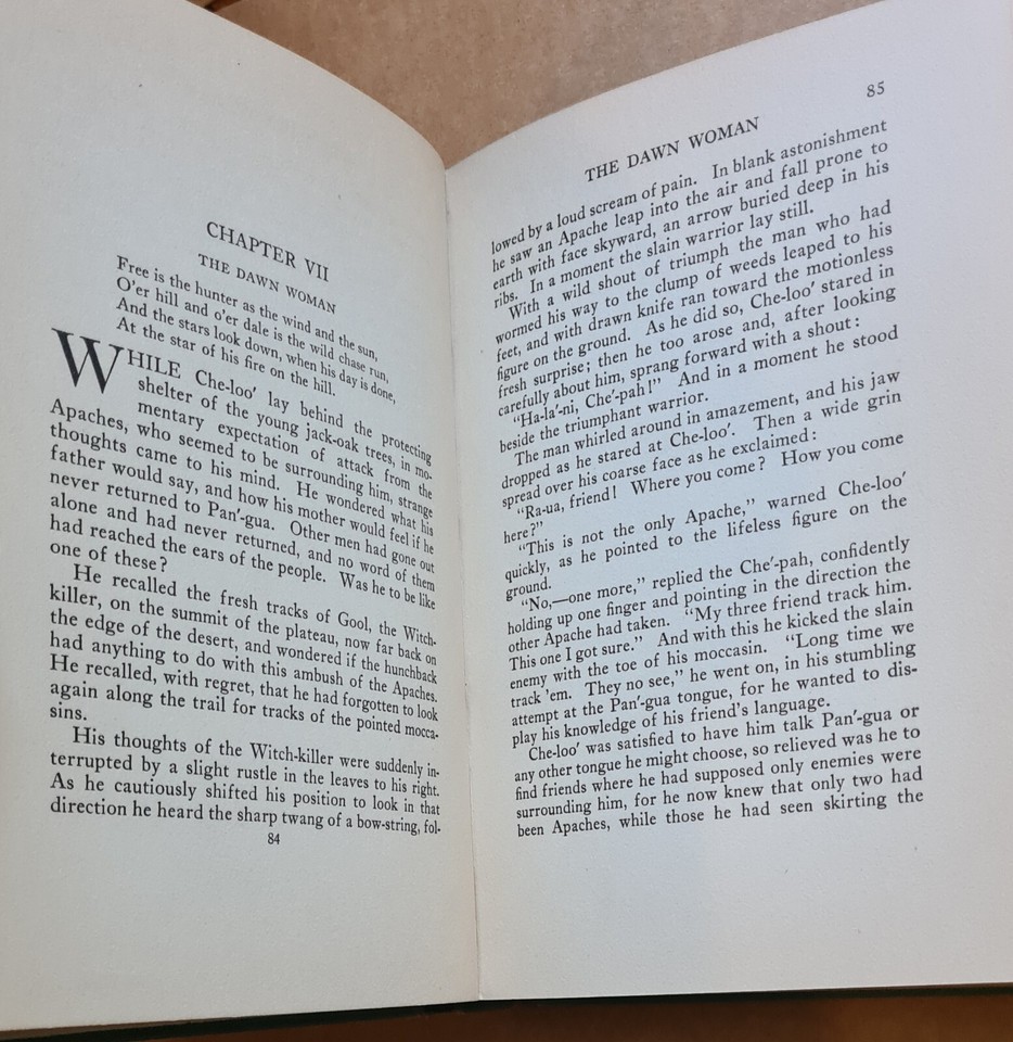 Rare Book The Flaming Arrow Carl Moon 1927 1st Ed Native American Small ...