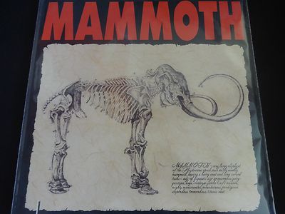 Mammoth "Self-titled" Original LP. 1st edition/promo w/pic inner-sleeve ...