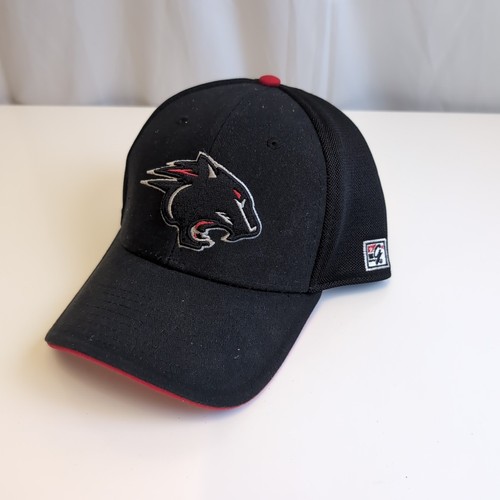 NCAA Clark Atlanta Panthers OSFA Adjustable Lid Ballcap Hat | eBay