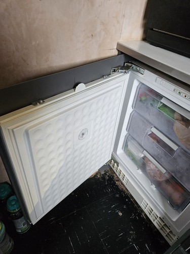 Neff G4344XFF0G N50 Under Counter Integrated Freezer for sale online | eBay