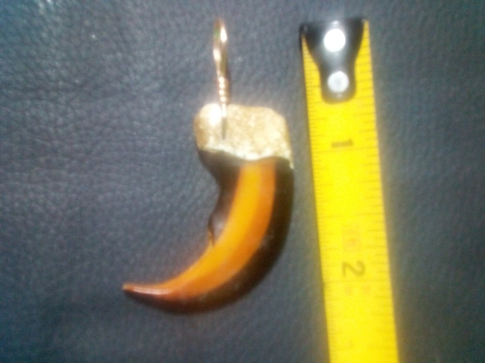 Faux Bear Claw Pendant With Gold Filled Wire Wrap | eBay