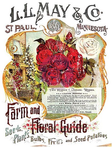 Iron Orchid Designs IOD "LL May II" May's Seeds Flower Floral Transfer ...