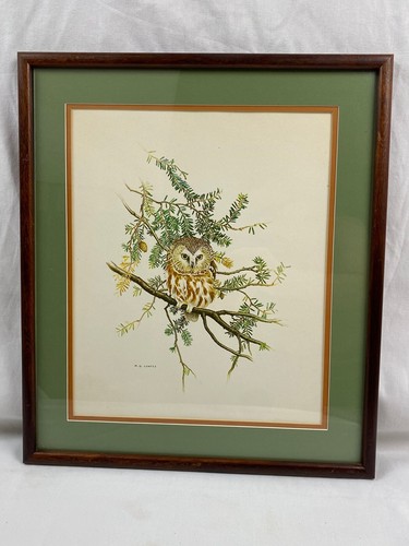 Vintage 1977 SAW WHET OWL By M.G. (Glen) Loates Framed Print 14.75" x ...