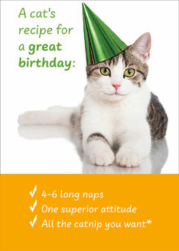 Funny Happy Birthday Cat