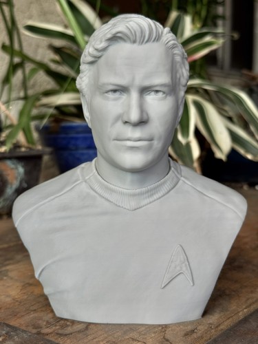 Star Trek TOS Captain Kirk Bust 3D Printed Statue 6.5” – James T. Kirk ...