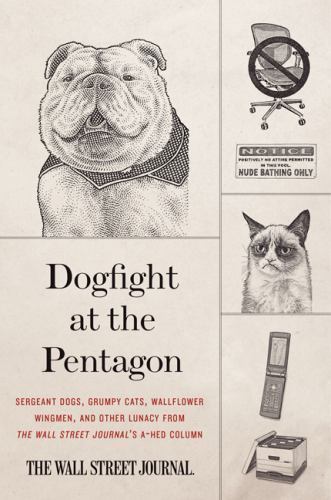 Dogfight at the Pentagon : Sergeant Dogs, Grumpy Cats, Wallflower ...