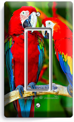 TROPICAL PARROTS LOVE BIRDS SINGLE GFCI LIGHT SWITCH WALL PLATE COVER ...