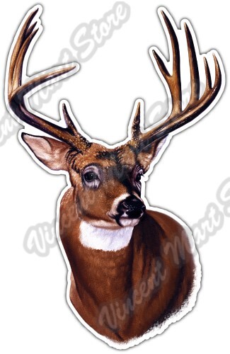 Whitetail Deer Hunting Antlers Wildlife Car Bumper Vinyl Sticker Decal ...