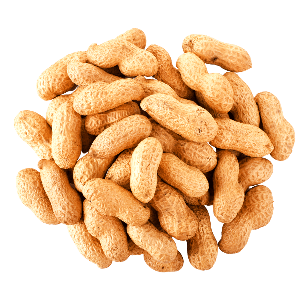 100% Natural Peanuts Whole Dry Shelled Peanuts Best Quality Dried ...