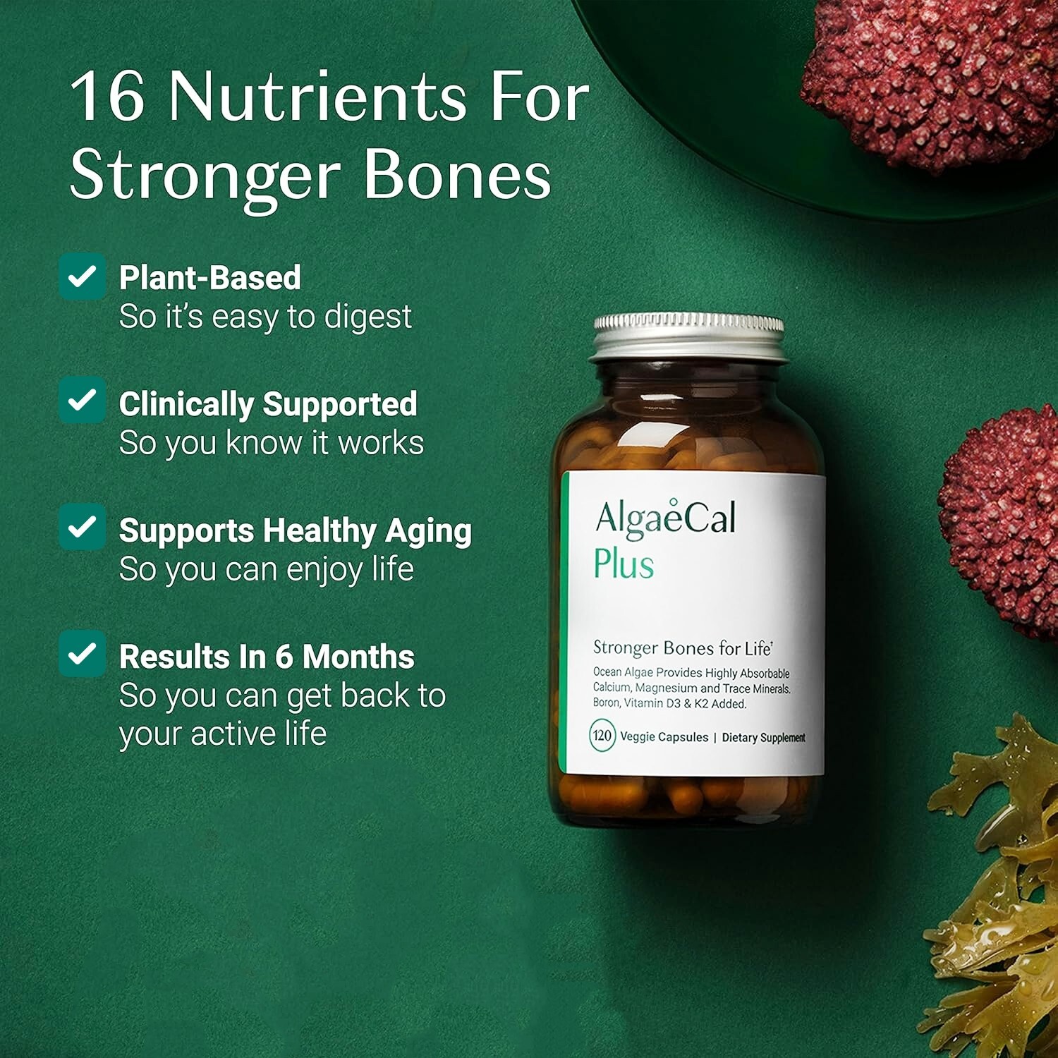 AlgaeCal Plus Stronger Bones Veggie Capsules Dietary Supplement Algae ...