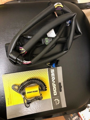 Seadoo Spark BRP RFID DESS KEY 295100629 | eBay