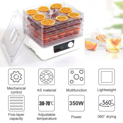 350W Electric Food Dehydrator 5 Tray Fruit Meat Beef Dryer Veg Preserver Machine | eBay