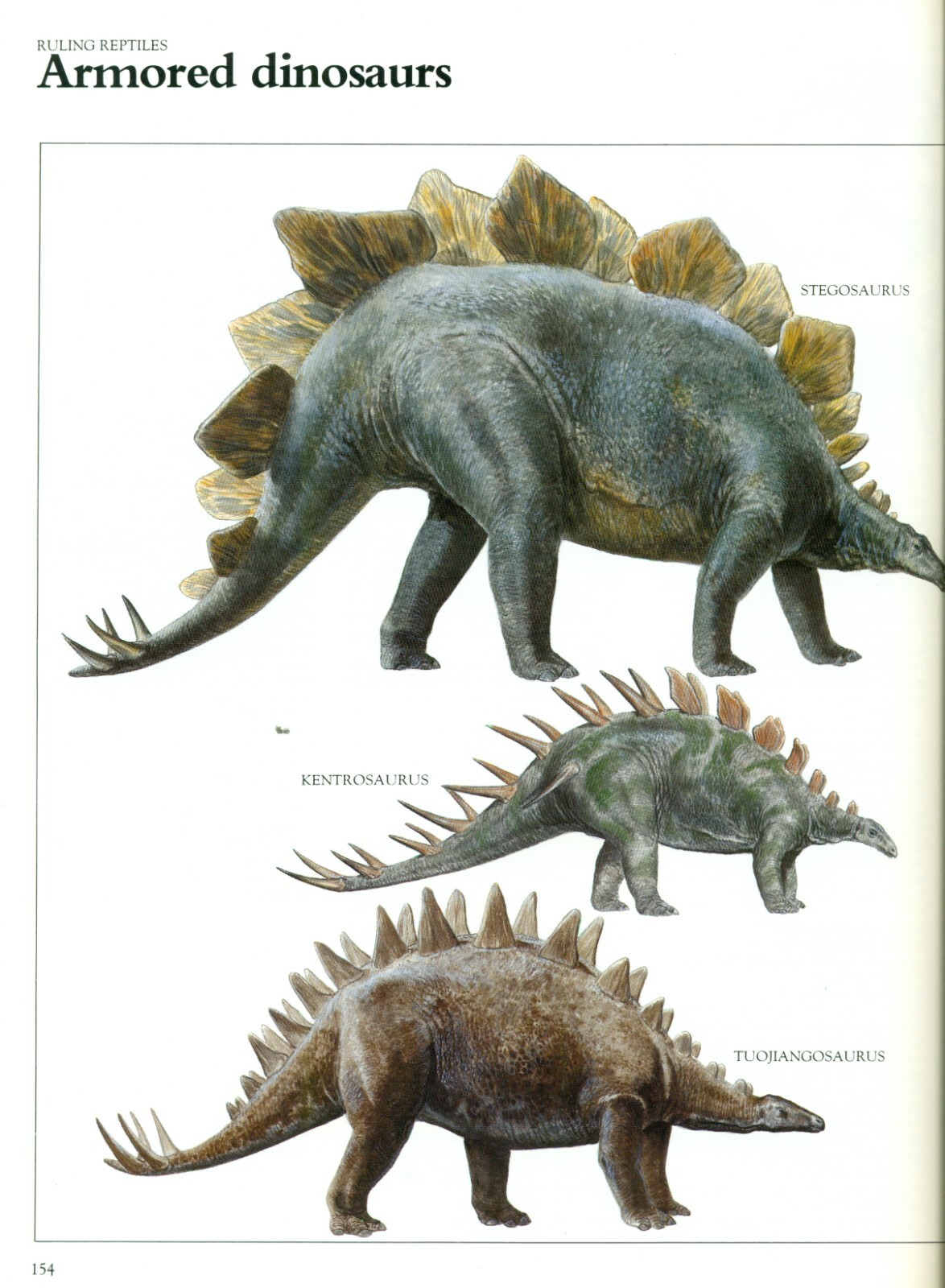 Macmillan Illustrated Encyclopedia of Dinosaurs and Prehistoric Animals ...