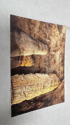 Bottomless Pit, Carlsbad Caverns National Park New Mexico (B109) | eBay