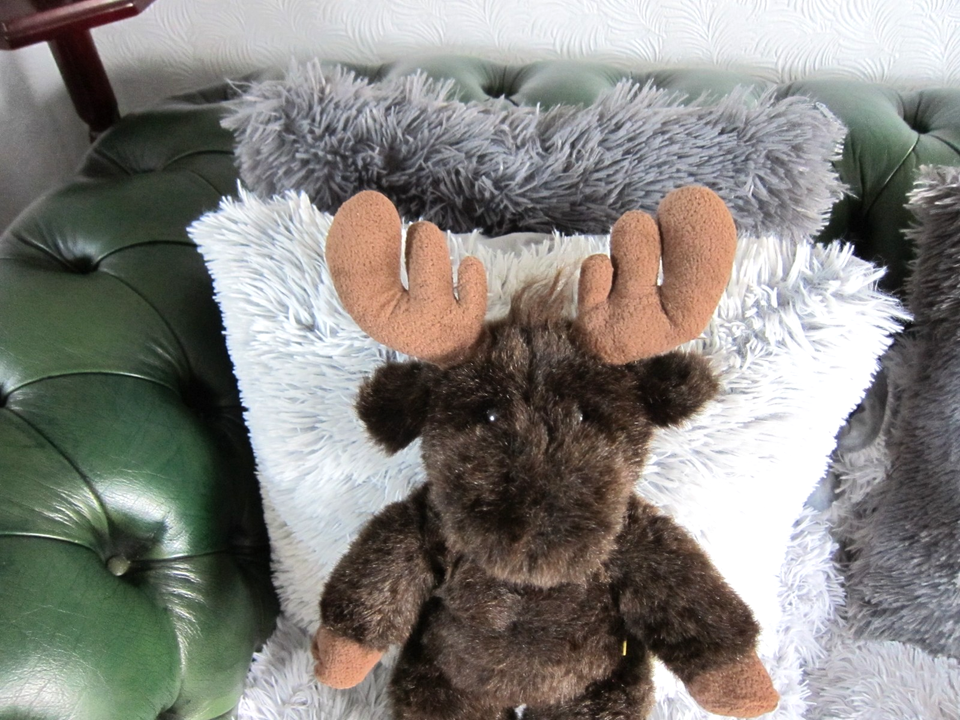 VINTAGE BUILD A BEAR *ALASKAN MOOSE* 1997- LOVELY CONDITION -V.RARE ...