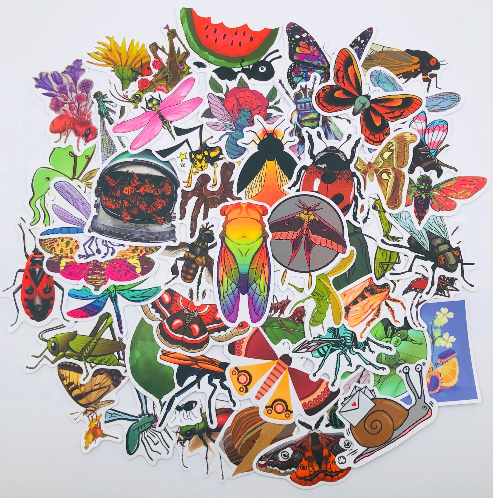 20pcs Insects Stickers Bugs Flying Flies Butterfly Ladybird Moth Vinyl ...