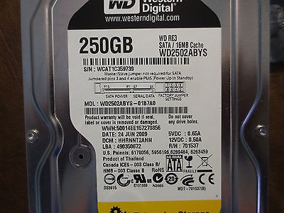 Western Digital WD2502ABYS-01B7A0 DCM:HHRNNT2AHN 250gb 3.5" Sata hard ...