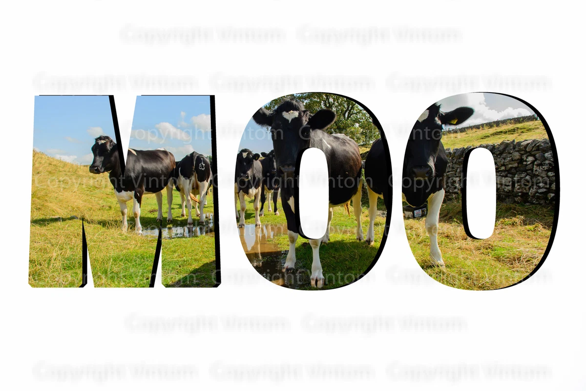 The Word Moo