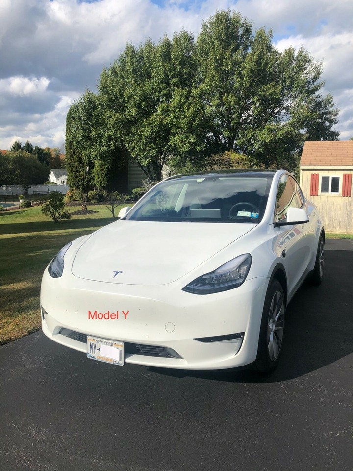 No-Hole Tesla Model 3/Y Front License Plate Installation kit (Stainless ...