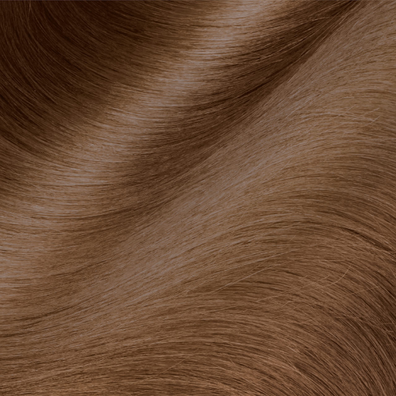 KISS Root True Cover Root Color Touch-Up Dark Brown Fiber Spray ...