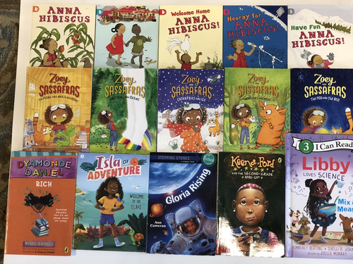 Lot Of 15 GIRL African American Elementary School Chapter Books Black ...