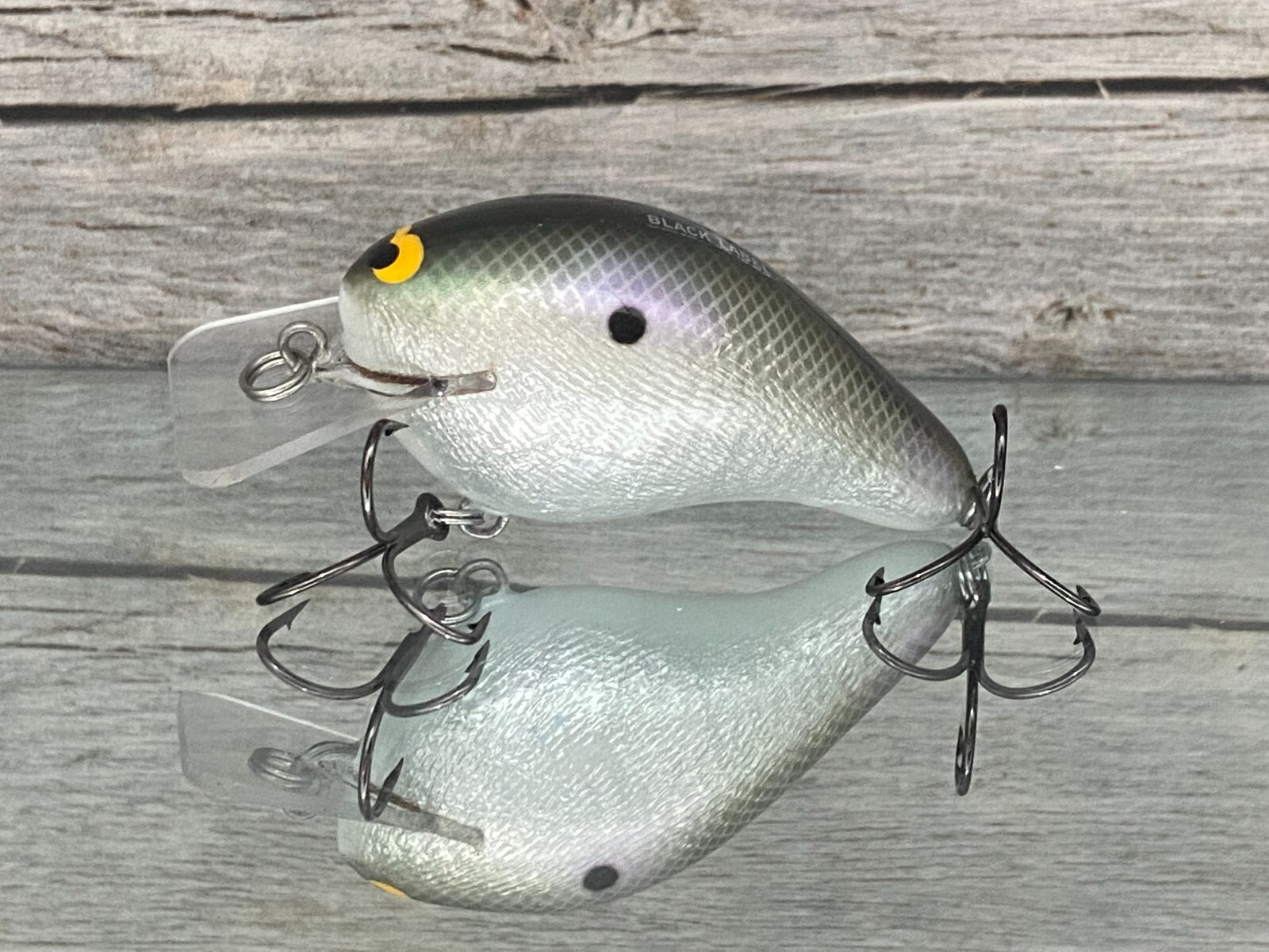 Black Label Balsa Head Hunter Custom Balsa Crankbait Gizzard Shad Foil ...