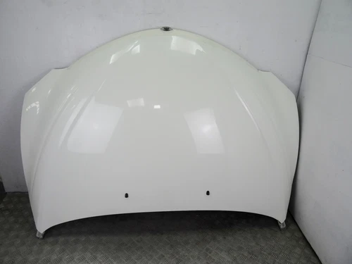 Capo para SSANGYONG ACTYON 200 Xdi 2010 209238 | eBay