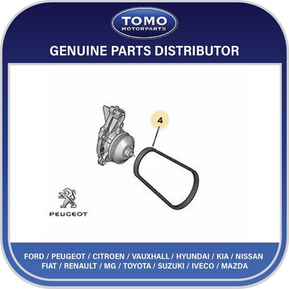 Genuine Peugeot 208 2012-2018 Water Pump Drive Belt - 9675874180 for ...