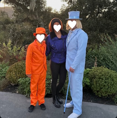 Mary Swanson Costume (Dumb and Dumber) Size Medium Vintage Jacket and ...