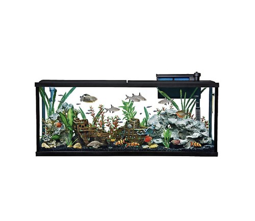 Fish Tank | eBay
