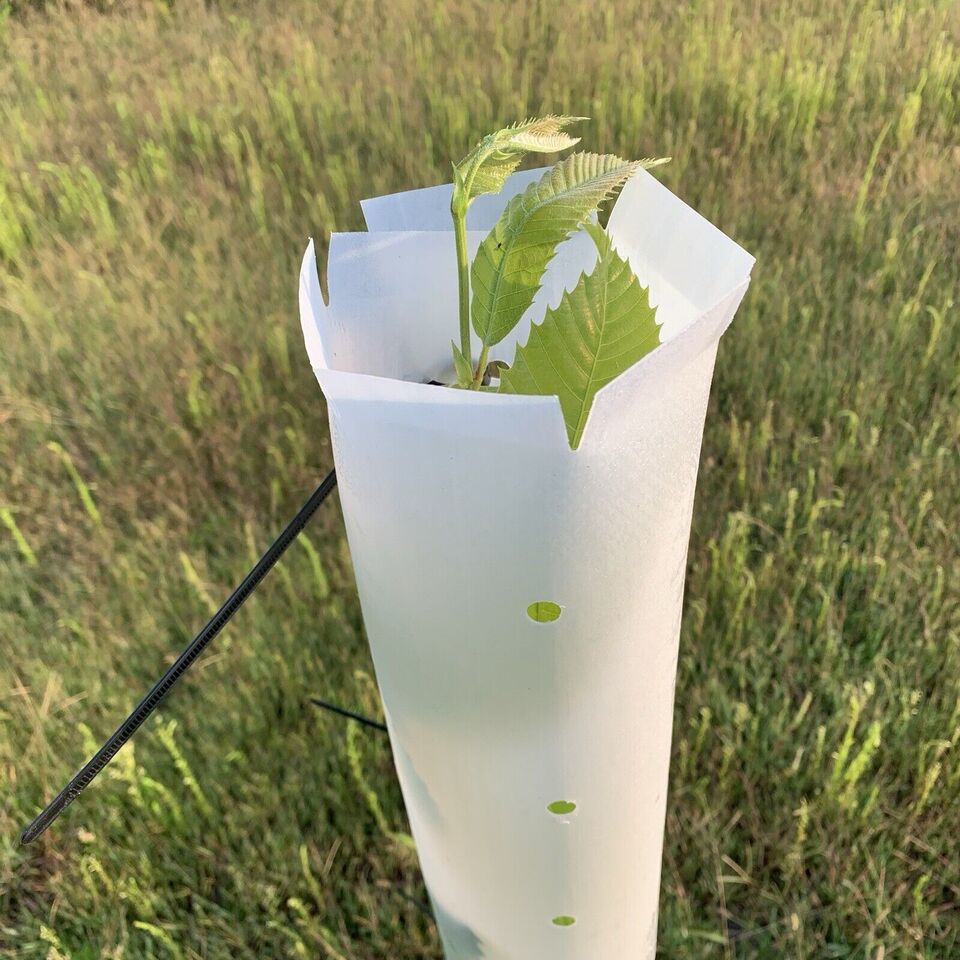 (50) 48" TREE PRO TUBES SHELTER MIRACLE PROTECTORS, Full-Open for Mgmt ...