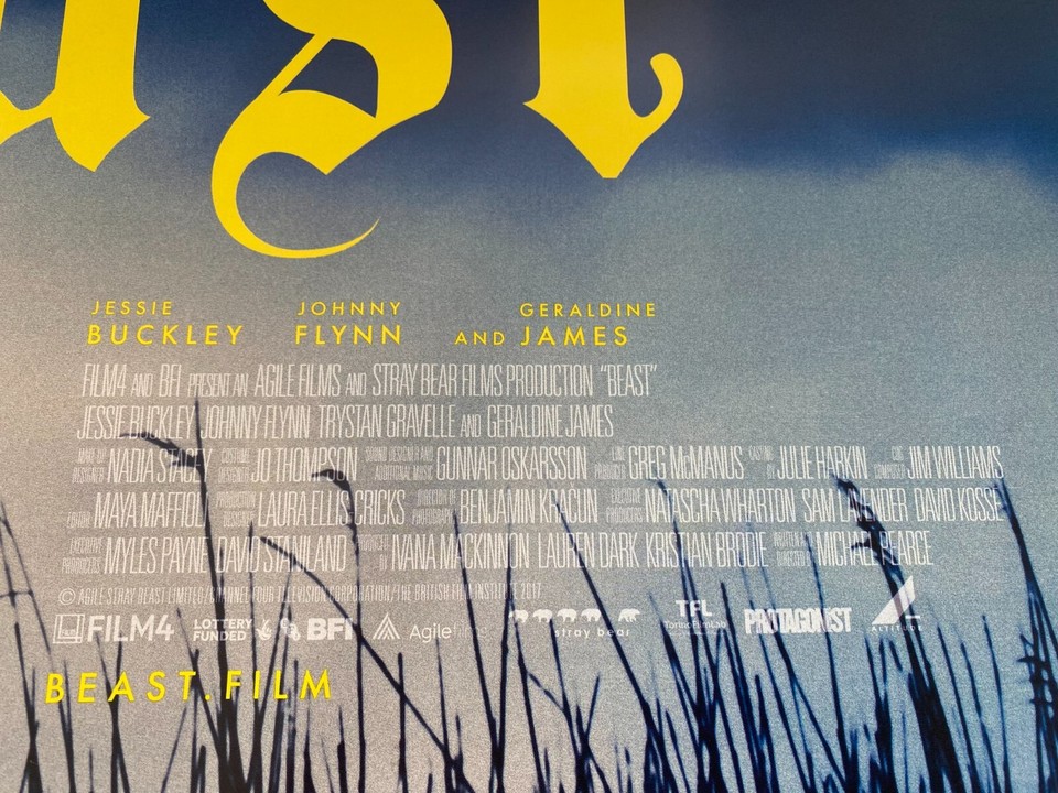 Original Beast (2017) Quad Movie Poster starring Johnny Flynn | eBay