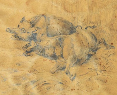 Unbekannt Monogrammist "HS" 1897 / Zeichnung "zwei Wildschweine im Wald ...