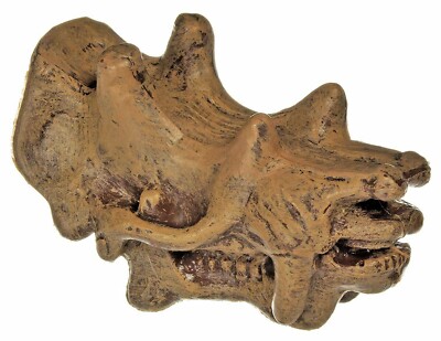 RARE Detailed Prehistoric Dinosaur Mammal Uintatherium Replica Skull ...