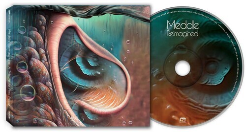 Pink Floyd Meddle Ear