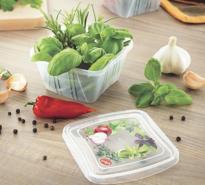 Snips Set of 3 Fresh Food Containers - Plastic Fruit & Salad Box/Keeper ...