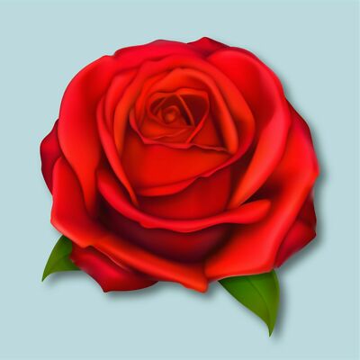RED ROSE FLOWER DECAL 3M USA MADE STICKER CAR TRUCK WINDOW BUMPER WALL ...