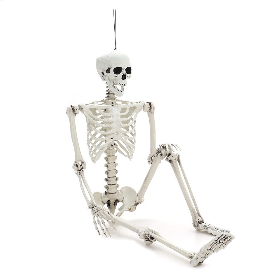 170cm Giant Full Life Size Human Skeleton Model Horror Bone Posable ...