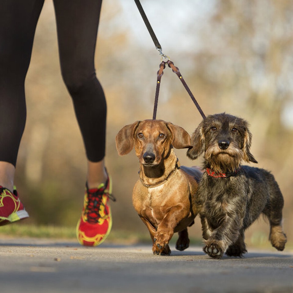 2 Way Dog Lead Real Leather Twin Dog Coupler Splitter Lead for Large ...