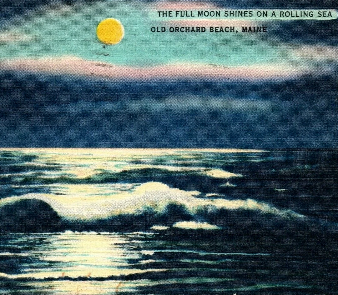 Vintage Ocean Waves Illustration