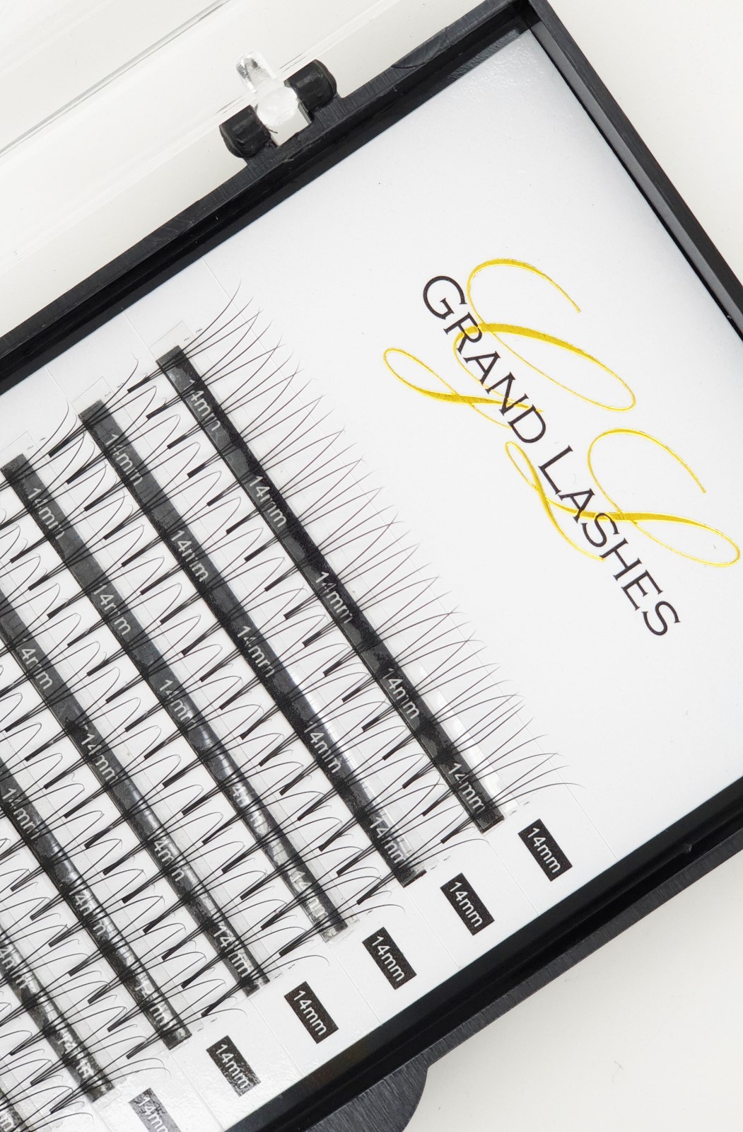 Pre-made Fan 3D Eyelash Extension Trays 0.10 C Curl D Curl Silk | eBay