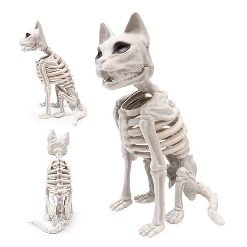 Cat Skeleton Sitting Animal Scary Decor Creepy Realistic Cat Skeleton ...