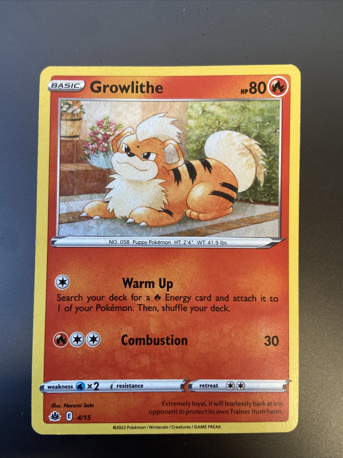 Growlithe Holo 4/15 McDonalds 2022 Match Battle Pokemon TCG | eBay