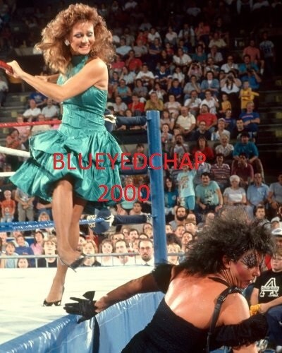 MISS ELIZABETH & SHERRI MARTEL GIRL WRESTLER 8 X 10 WRESTLING PHOTO WWF ...