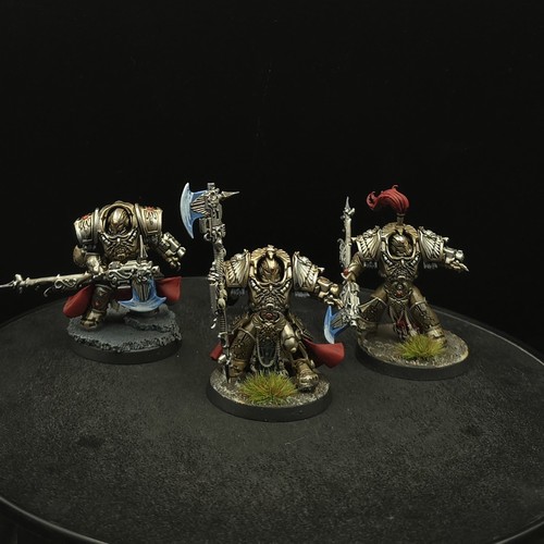 Pro Painted Warhammer 40k Custodes Terminators ×3 LH8 Custodians Games ...