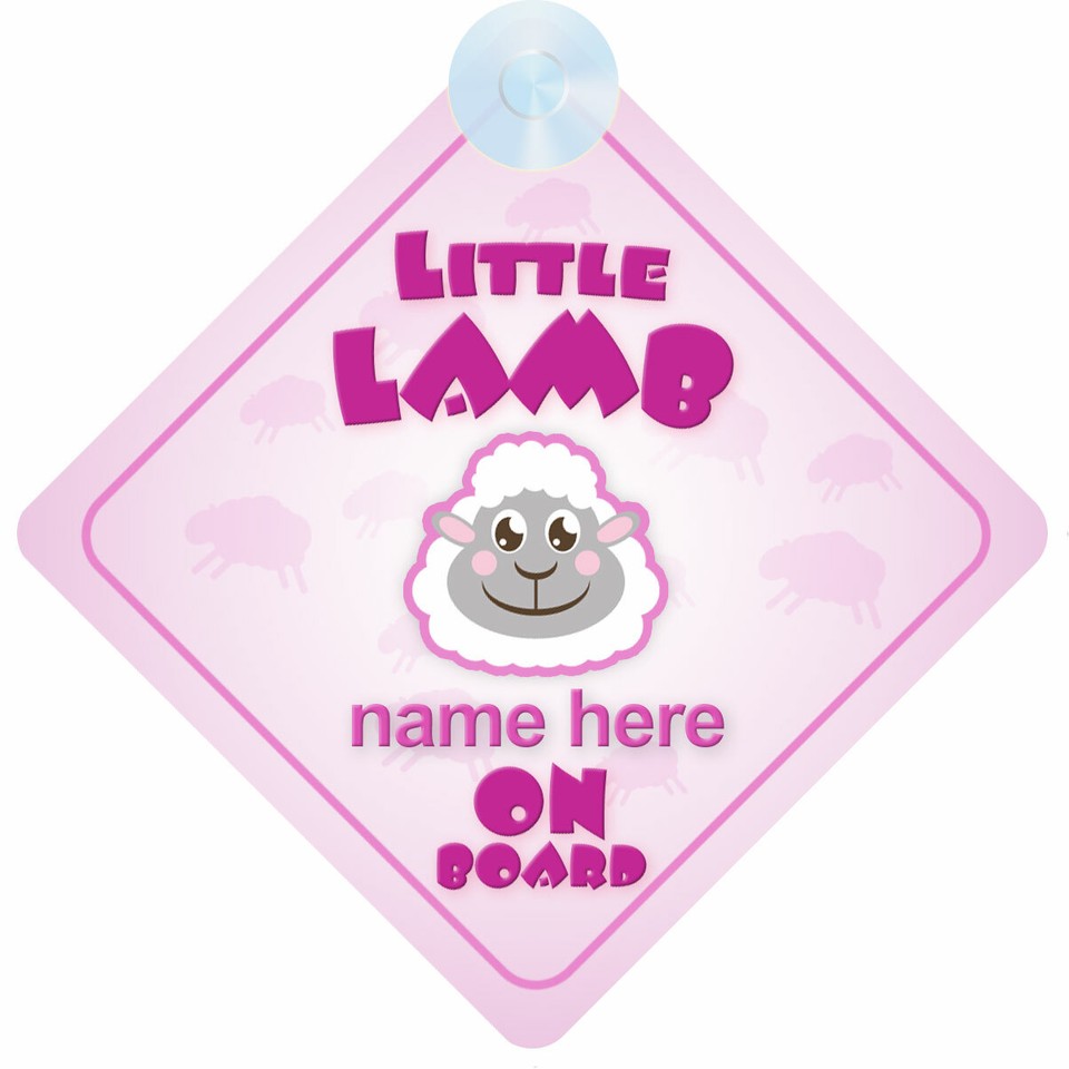Baby on Board signs. Choose from over 30! - personalised with any name ...