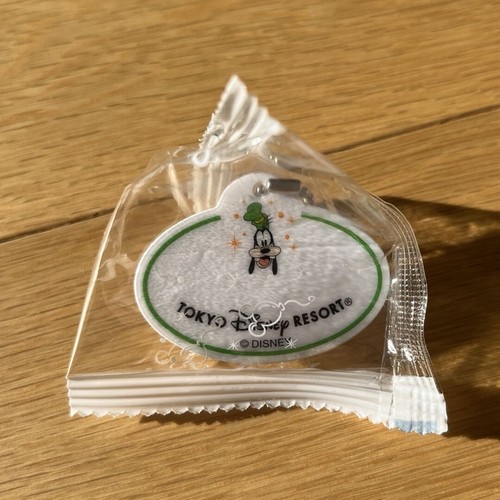 Goofy Name Tag Keychain | eBay