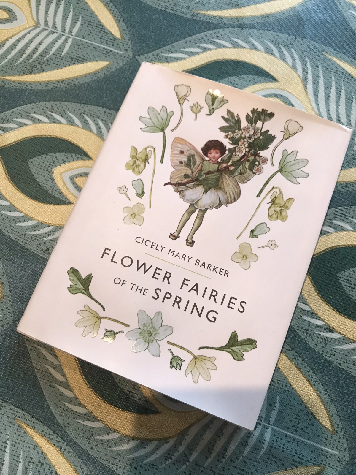 Flower Fairies of the Spring by Cicely Mary Barker 9780241284544 | eBay UK
